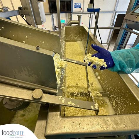 Bacteriophages In Lactic Bacteria A Silent Threat Foodcom