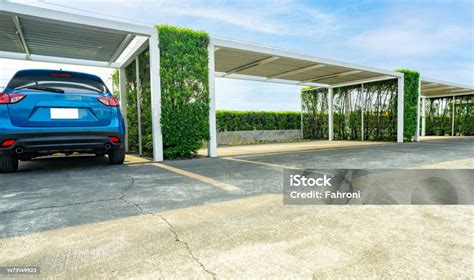 빈 공간이있는 주차장 화창한 여름날의 주차 구역과 빈 공간 녹색 울타리가 있는 야외 주차장에 주차된 파란색 Suv 차량의 뒷모습 친환경 야외 주차장 아파트에 대한 스톡 사진