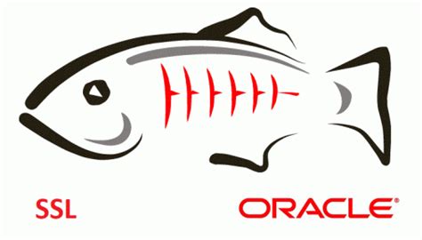 Cómo instalar y configurar un certificado SSL en un Servidor Glassfish