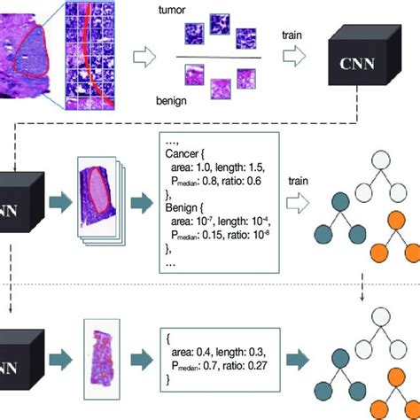 Pdf Artificial Intelligence In Pathology