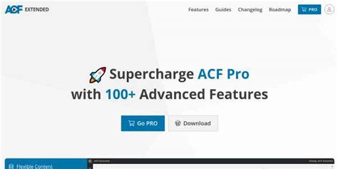 Advanced Custom Fields Extended Pro Pluginizer