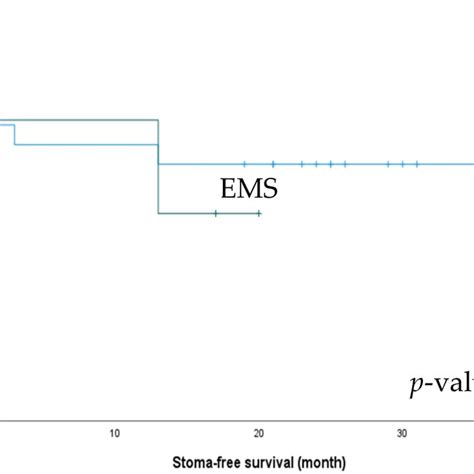 Comparison Of 2 Year Survival Outcomes Between The Elective Surgery Download Scientific Diagram