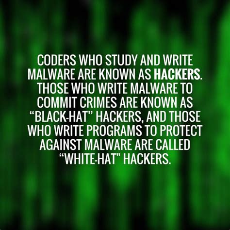 Cool Fact About Computer Coding Computer Coding Fun Facts Facts