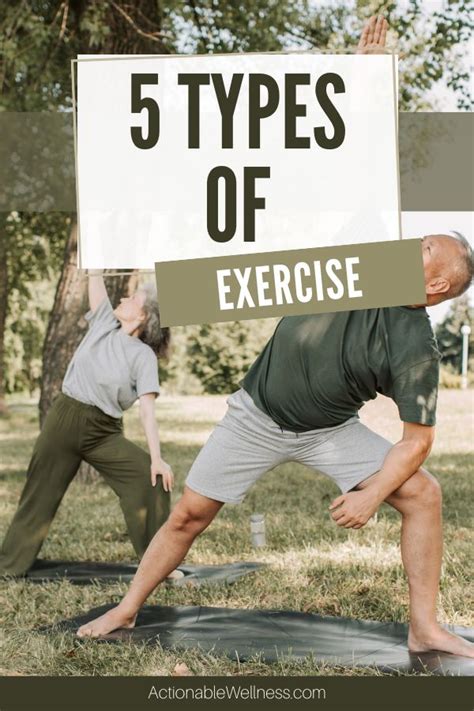 5 Types Of Exercises Actionable Wellness