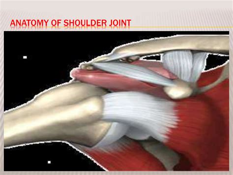 Periarteritis Of Shoulder Joint Causes Clinical Feature Pptx