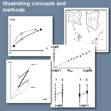 The Scaling Cube How To Purchase The Book