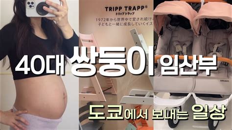 시험관 임신ep9 40대 쌍둥이 임산부 도쿄일상 임산부가 꼭 가야하는 도쿄의 신사 일본에서 쌍둥이 유아차 결정하기에어