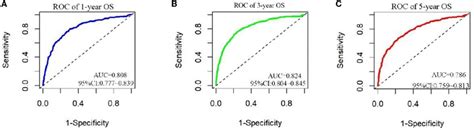 Roc Curves For 1 3 And 5 Years In Patients Ac Are Roc Curves For