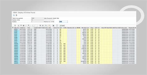 how to use sap se16n tables hicron