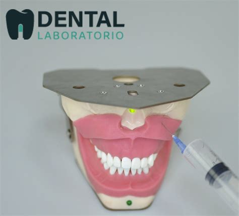 Dental Anesthesia Model Simulation View Cost Unique Dental Collections