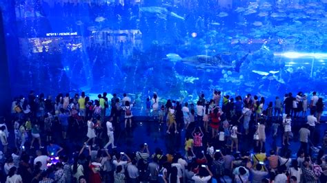浩海立方海洋馆 海滨城