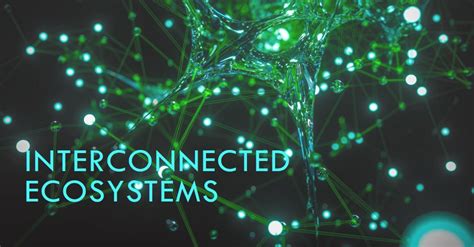 Extending Out The Interconnected Business Ecosystem As Necessary