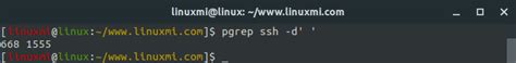 关于linux Pgrep命令的理解 Linux迷