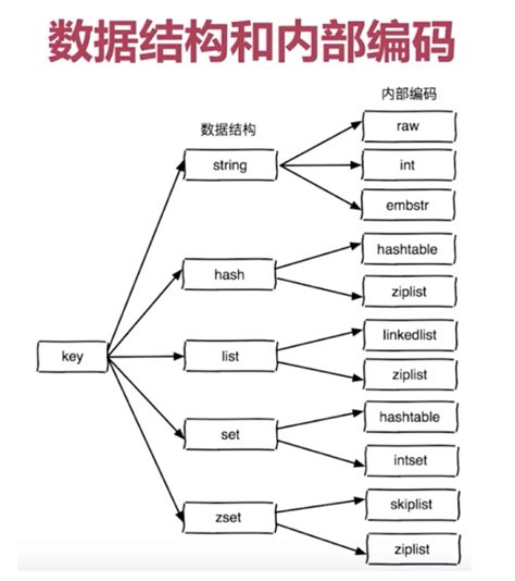 redis知识点总结 ChengXiao s Blog