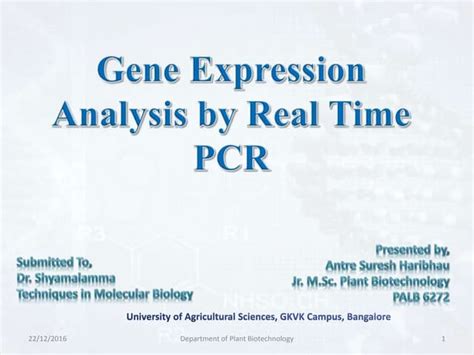 Gene Expression Analysis By Real Time Pcr Pptx Chemistry Science