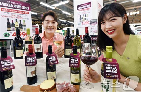 홈플러스 빈야드 와인 10년 전보다 저렴하게 판매 뉴스1