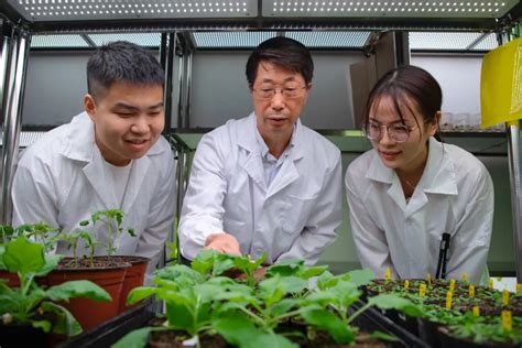 杨贞标研究员当选欧洲分子生物学组织外籍成员 中国科学院深圳先进技术研究院