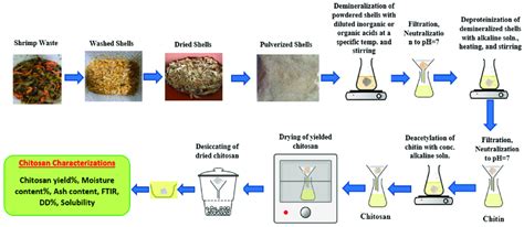 Chitin And Chitosan Chemical Extraction From Shrimp Shells Download