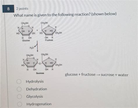 Solved 8 ﻿pointswhat Name Is Given To The Following