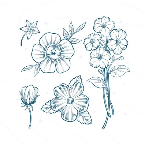 손으로 그린 식물학적 그림 일러스트레이션 무료 벡터