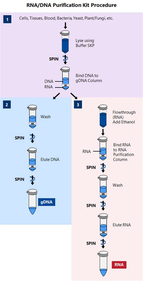 Rna Dna Purification Kit Cat 48700 Norgen Biotek Corp