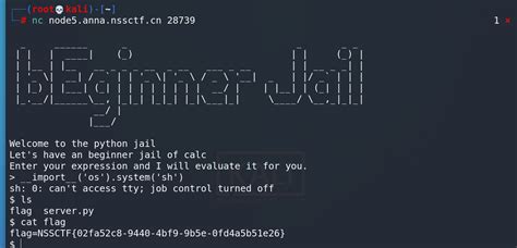 【misc】 Hnctf 2022 Week1 Calcjailbeginnerjail 沙盒逃逸misc Jail Csdn博客