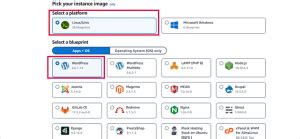 How To Install WordPress On Amazon Web Services Step By Step