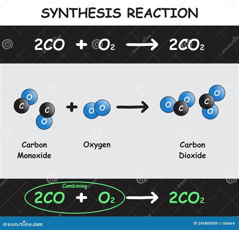 Synthesis Reaction Infographic Diagram Cartoon Vector 245885009