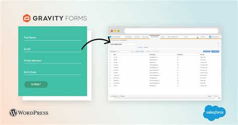 Sending Gravity Forms Data To Data Extension In Salesforce Mc