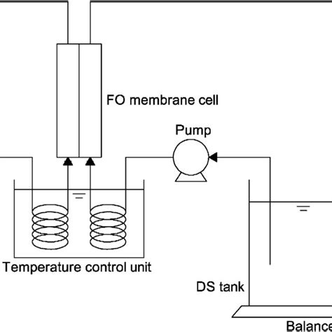 Structures Of Edta Disodium Salt Left And Metal Edta Complexes Right