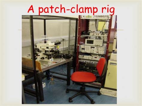 Patch Clamp Technique