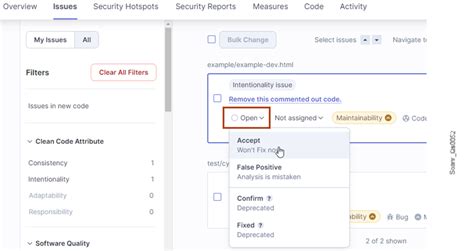 Managing Issues And Sonarqube
