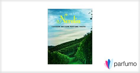 Nerolia Von Yaaseen Meinungen And Duftbeschreibung