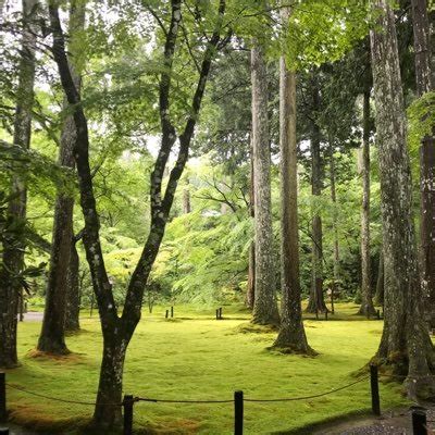 かっきー みやびな京都 on Twitter 京都烏丸で2022年4月オープン後なかなか予約が取れないのですが1673年創業玉乃光