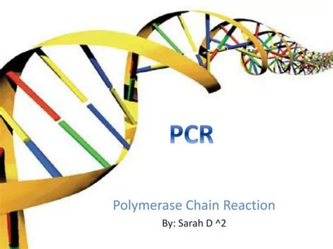 PPT PCR PowerPoint Presentation Free Download ID