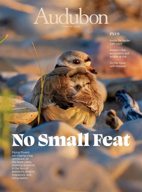 Audubon Magazine Digital Subscription Discount