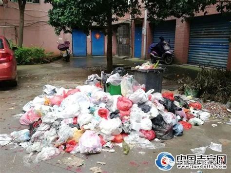 物业突然撤离，小区内垃圾成堆，居民只能绕路回家公司