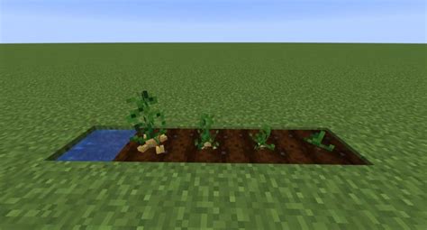 Crops 3d Resource Pack 1 19 1 18 Texture Packs