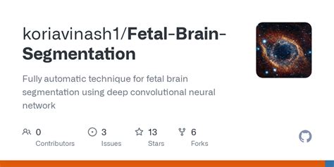 Github Koriavinash1fetal Brain Segmentation Fully Automatic Technique For Fetal Brain