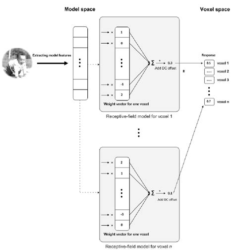 Mapping From Model Space To Voxel Space The Figure Shows The Process Download Scientific