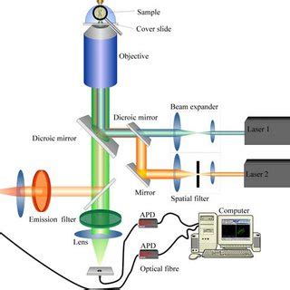 Cross Correlation Measurement Download Scientific Diagram