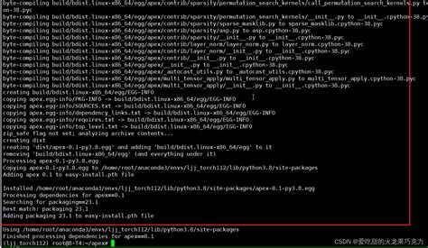 学校服务器安装cuda版本的pytorch DGL联网 上传 安装apexCUDA out使用wandbError lib服务器