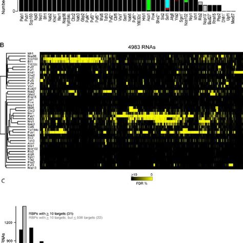 Diverse Binding Specificity Among Rna Binding Proteins A Estimated