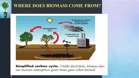 3 Biomass Energypptx