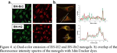 Figure 4 From Nanogels For Dual Chromatic Cell Imaging And Photodynamic Therapy Semantic Scholar