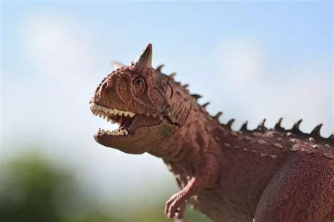 Carnotaurus Nejstrašidelnější Druh Dinosaura Vědecky Prozkoumán