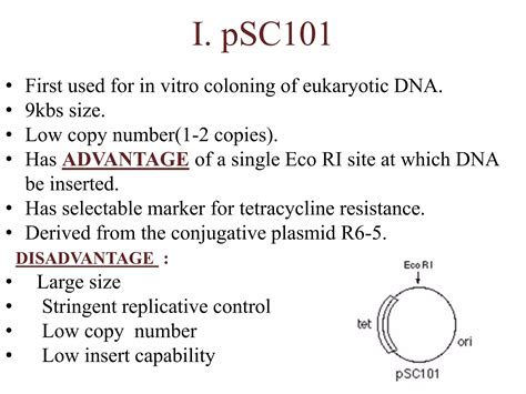 Plasmid Vectorppt Msc Ippt