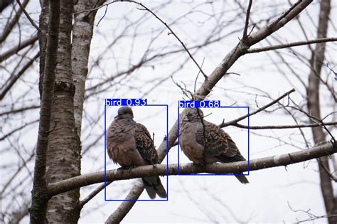 Running Ultralytics Yolov8 On Ubuntu 2204wsl2 With Gpgpu Leafwindow