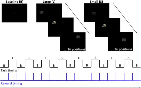 Stimuli And Experimental Design For Task Fmri Top Shows The Stimuli