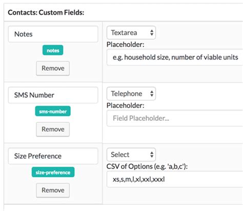 Custom Fields Jetpack Crm